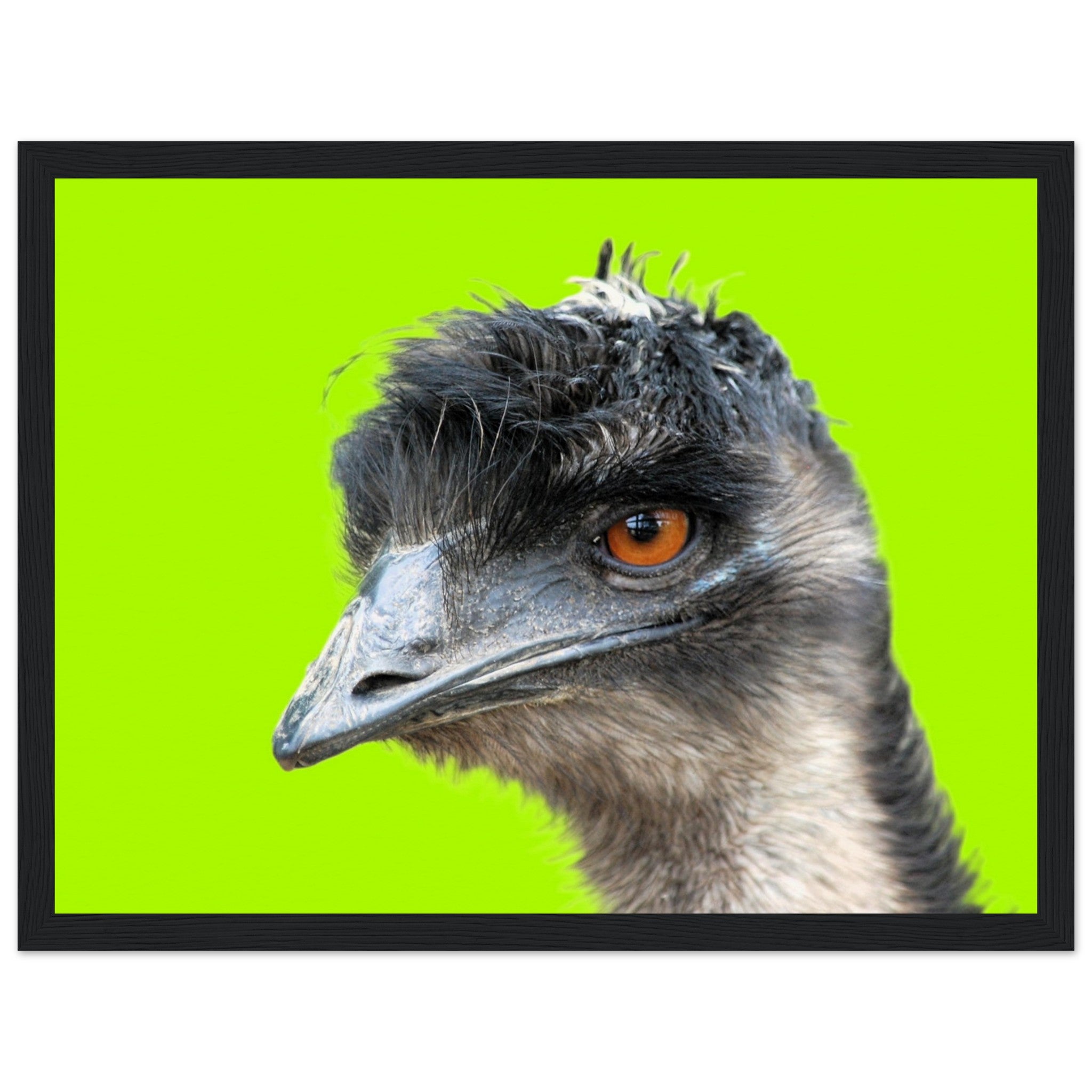 Emu Wooden Framed Poster – Sungila Products